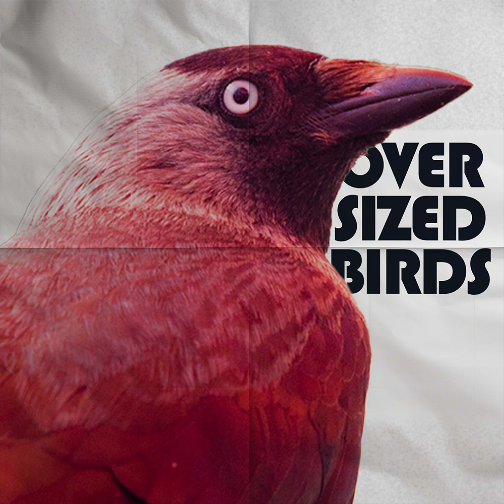 Bambuloid - About Me